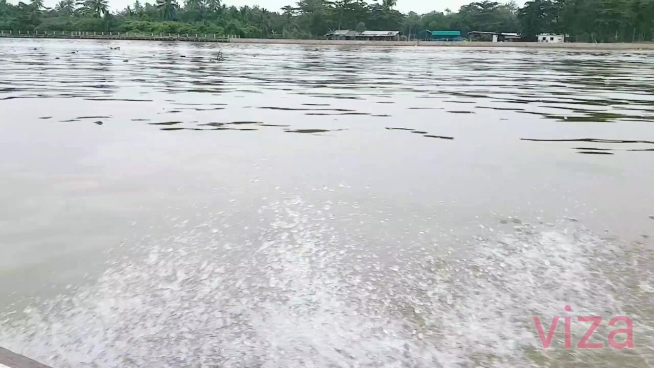 Sex Vlog Thaïlande Marché Flottant Avec Une Belle Fille Aux Gros Seins