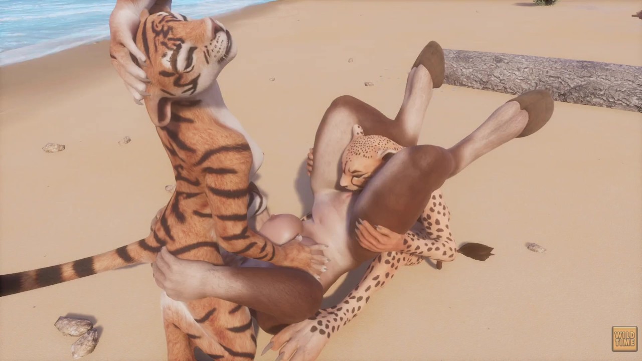 Wild Life Lesbian Furry Girls Compilation Vídeos Pornos Gratuitos Youporn