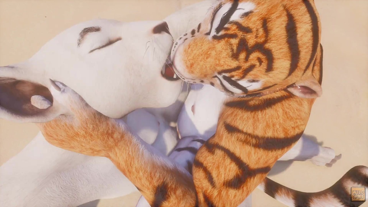 Wild Life Lesbian Furry Couple 🐯 Free Porn Videos Youporn