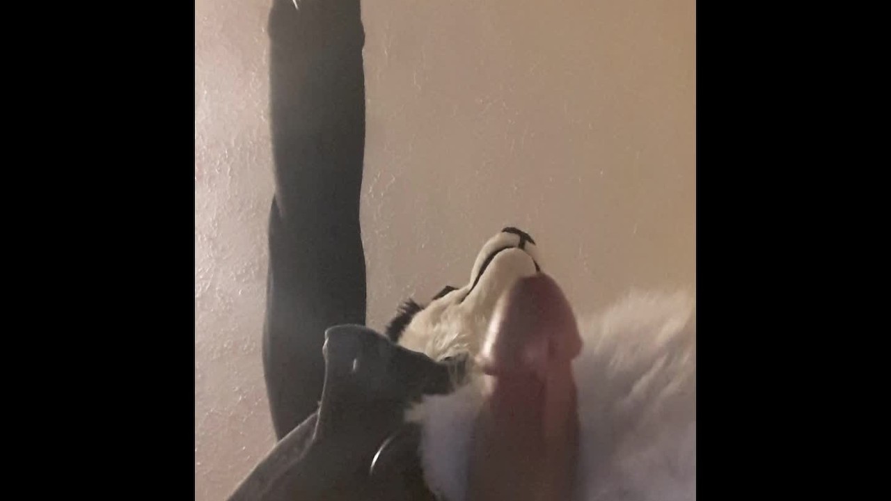 Murrsuit Cum Compilation Vidéos Porno Gratuites Youporngay